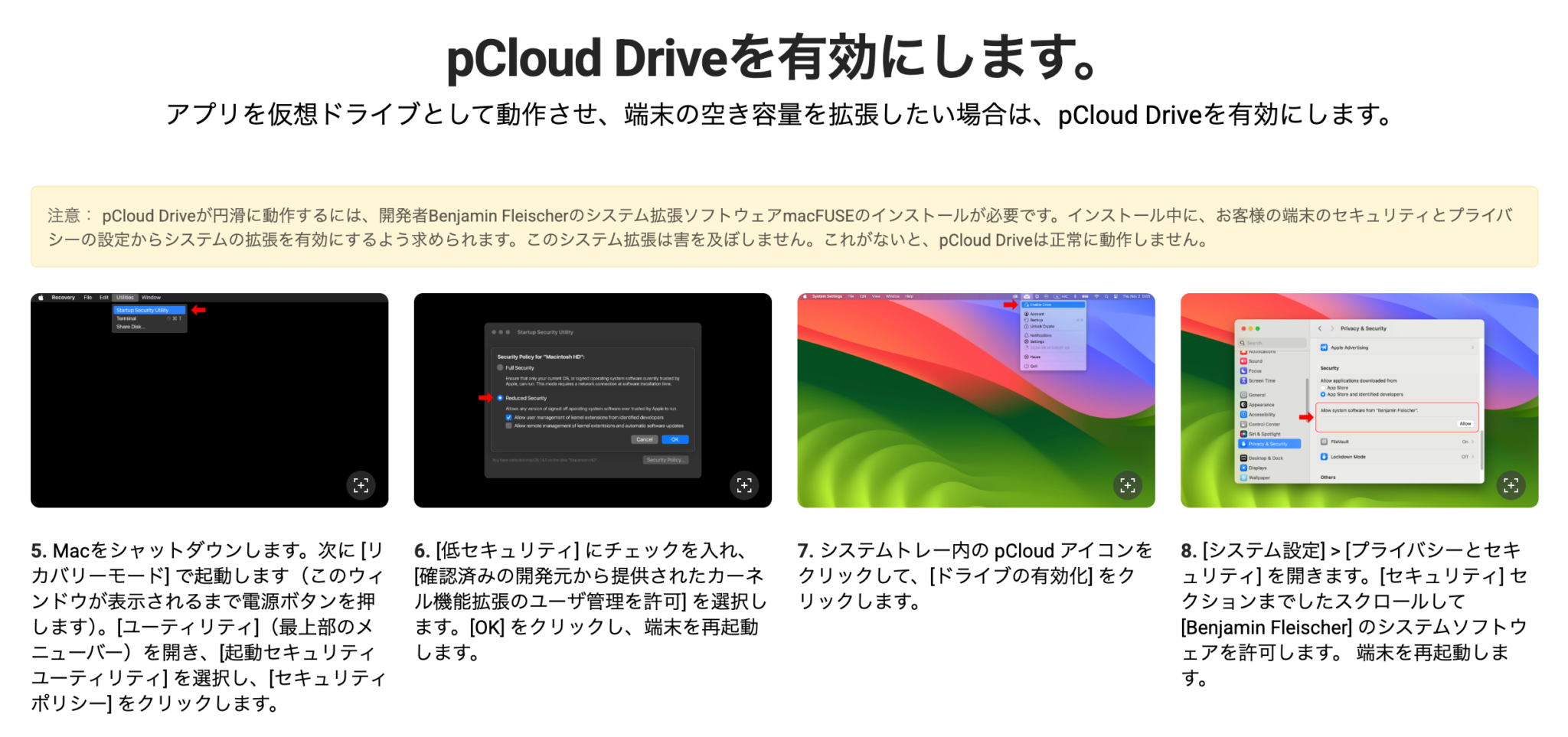 ＜図解＞無料で使えるオンラインストレージpCloudの使い方 | NOGUCHI LABO